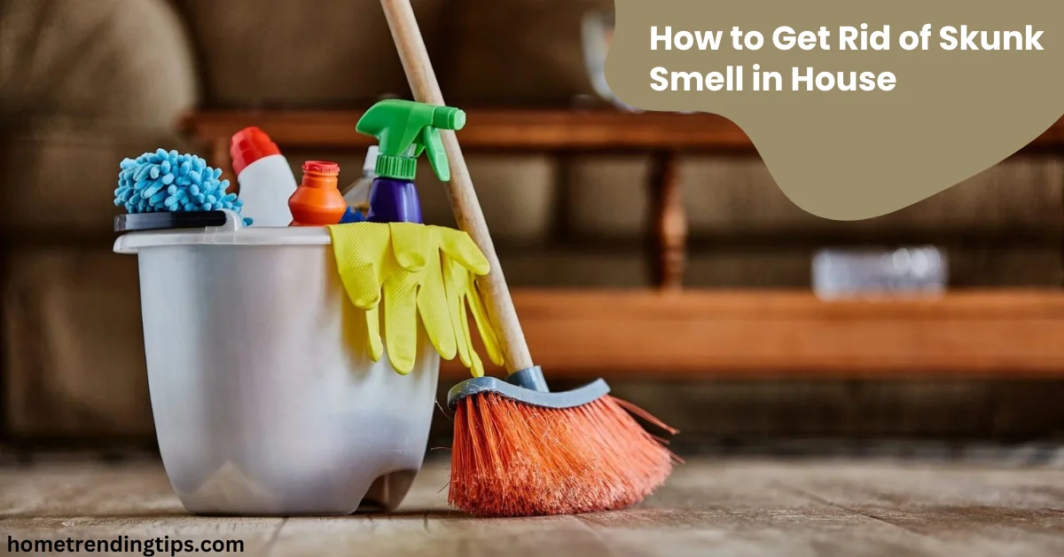 How to Get Rid of Skunk Smell in House: 12 Proven Methods